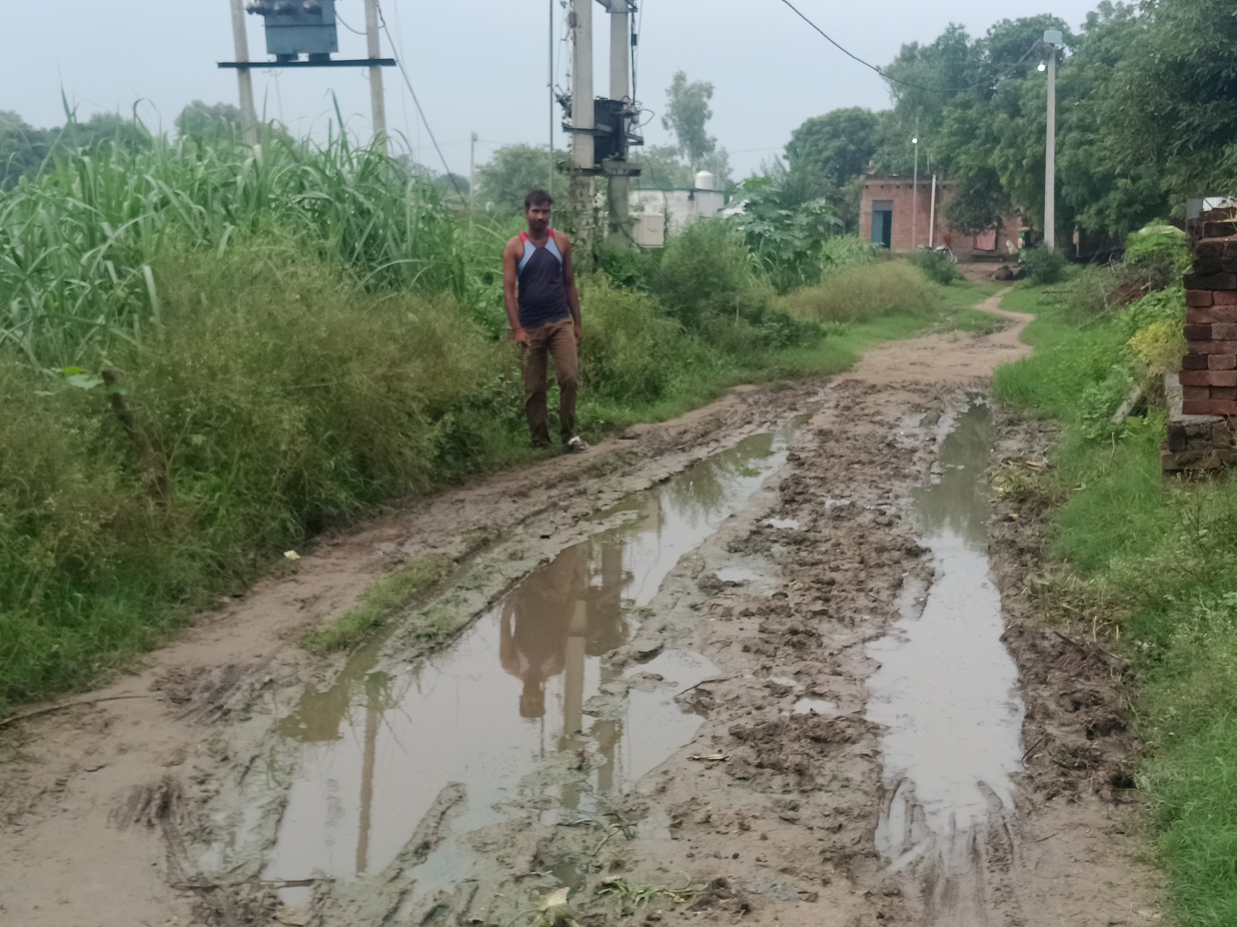 The plight of Mohalla Bhanpur Banwari | मोहल्ला भानपुर बनवारी की ...