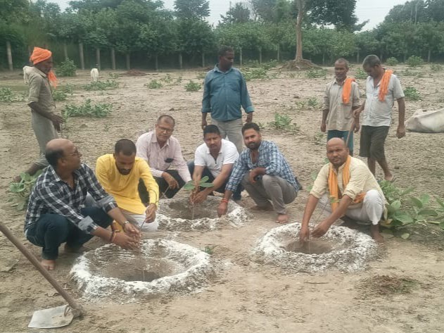 Plantation of Harishankari plants in the cowsheds of Haldharmau ...