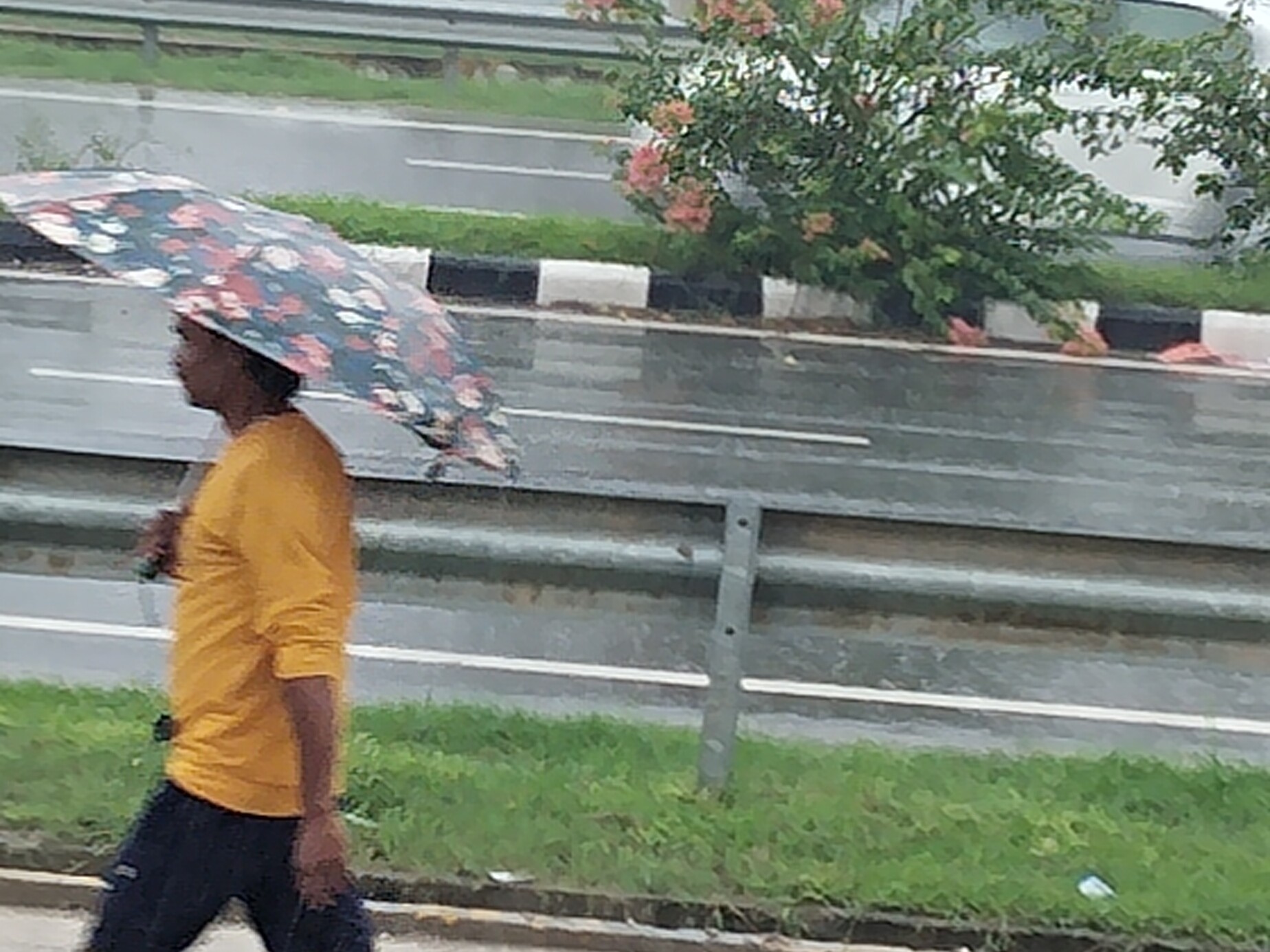 Continuous rain in Handia increased the concern of farmers