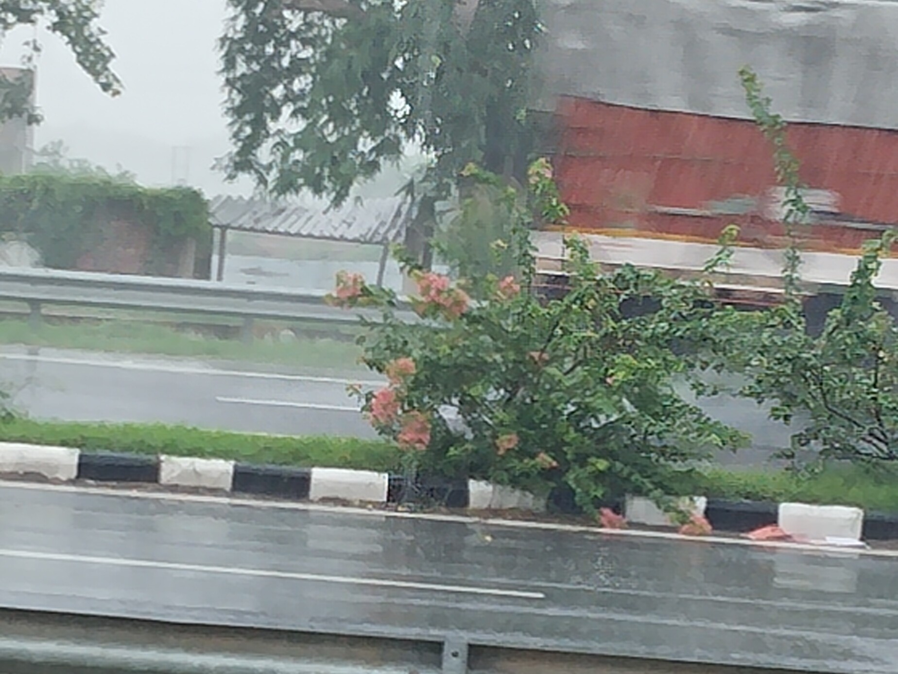 Continuous rain in Handia increased the concern of farmers