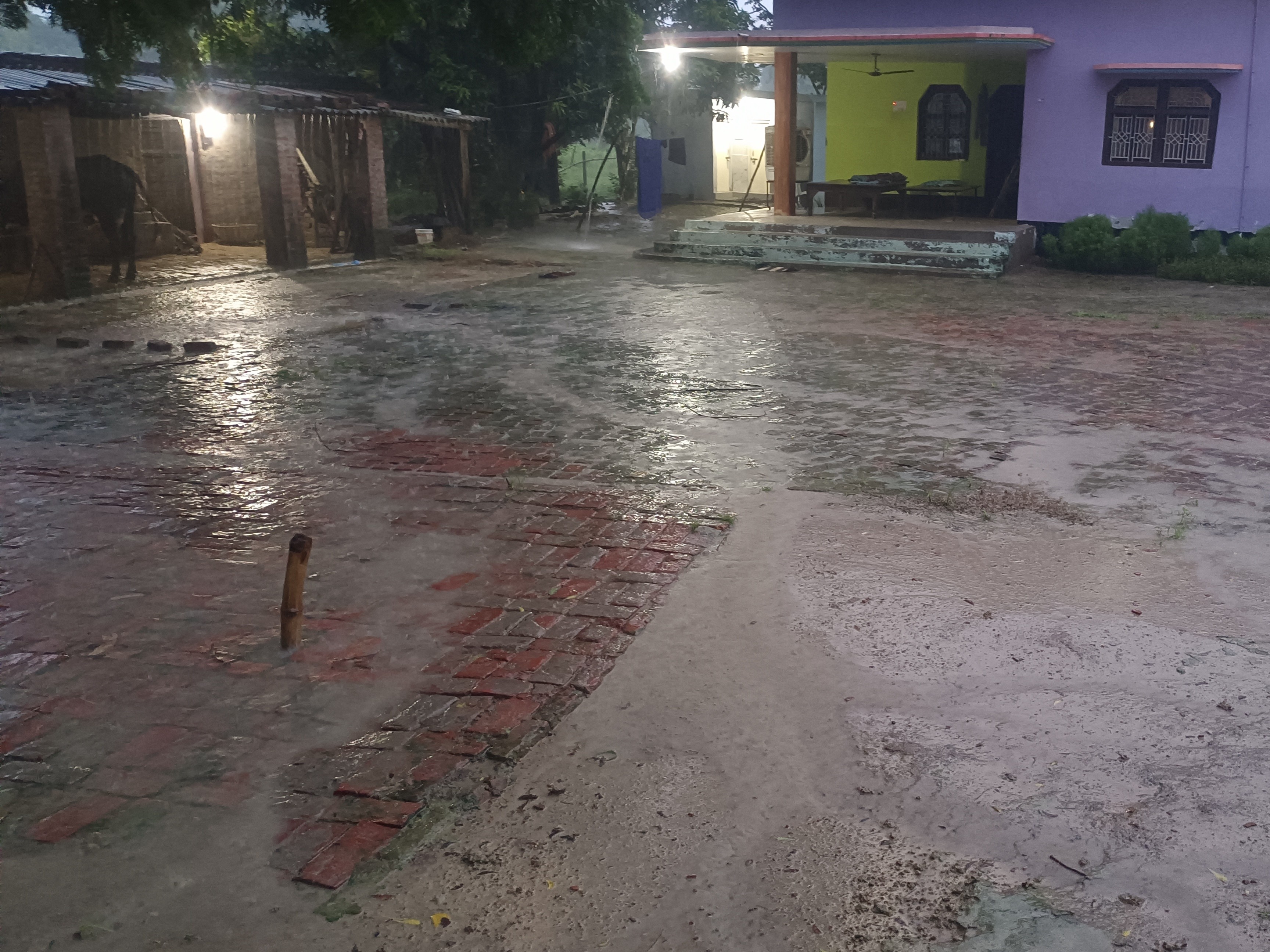 It rained on the occasion of Rakshabandhan in Ranipur | रानीपुर में ...