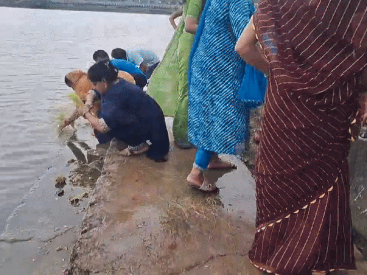 Latest Bhind News (भिंड न्यूज़): पढ़ें 11 अगस्त के ताज़ा समाचार दैनिक ...