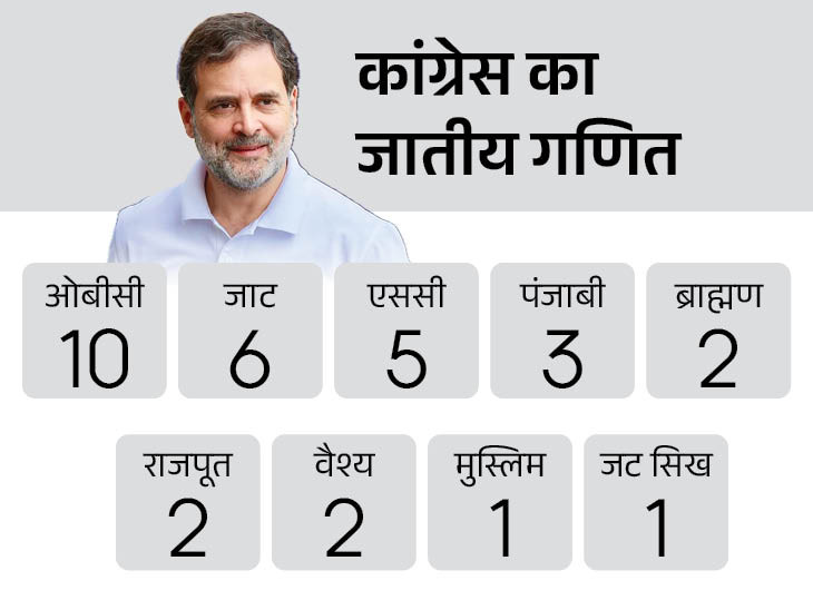 Haryana Congress appoints district president | Rahul Gandhi | KC ...