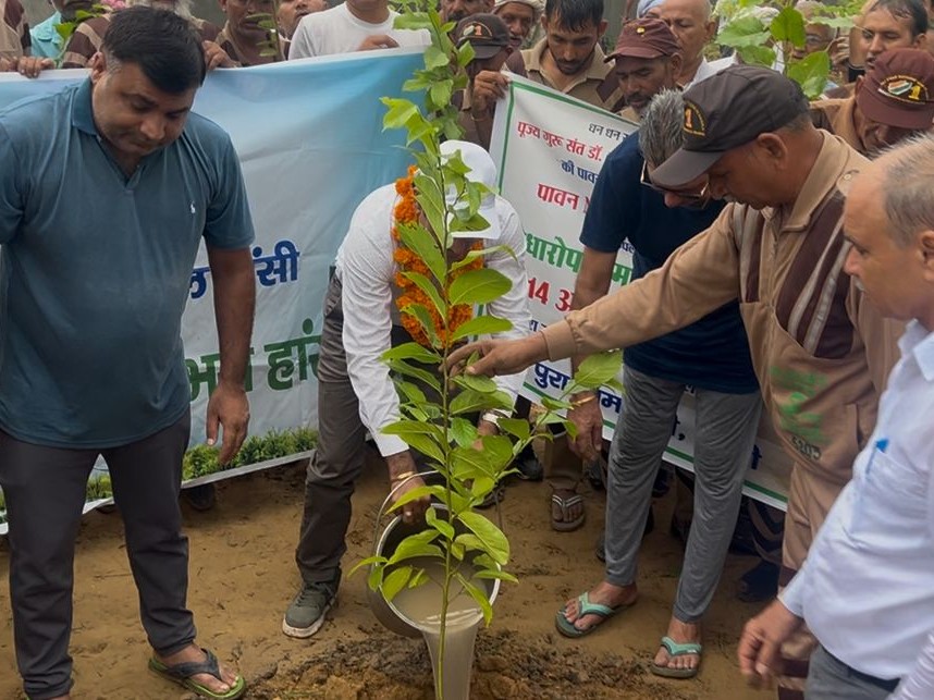 Hansi Dera Sacha Sauda Followers Planted Tree; Gurmeet Ram Rahim ...