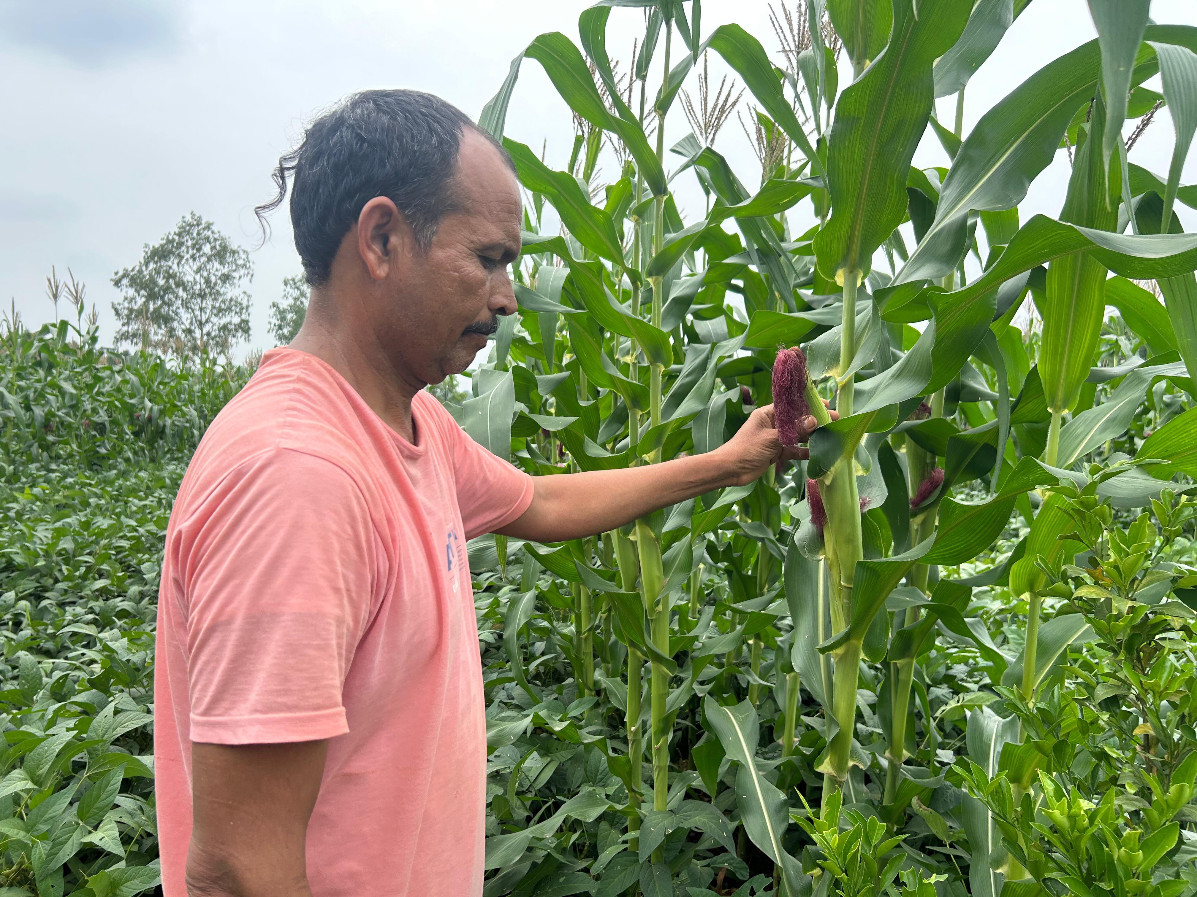 Agar Malwa’s farmer transforms barren land into fertile farms ...
