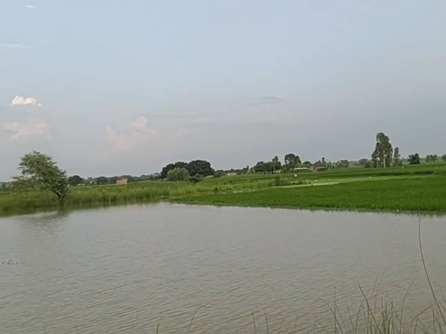Flood wreaks havoc in Hardoi's Madhoganj | हरदोई के माधोगंज में बाढ़ का ...