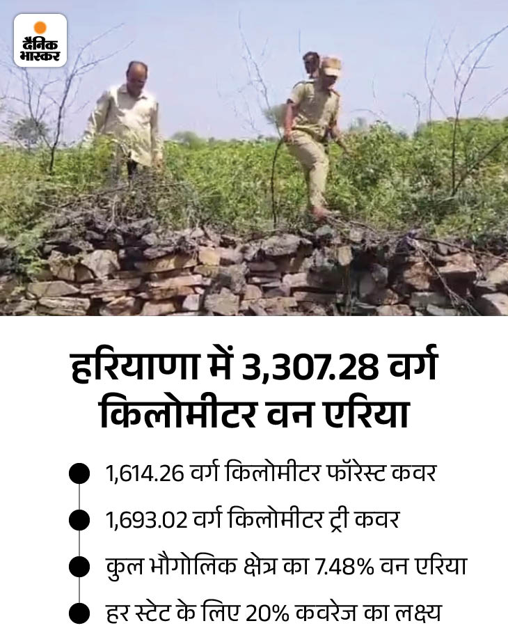 Haryana Government Forest Criteria Change Order CM Nayab Saini Forest ...