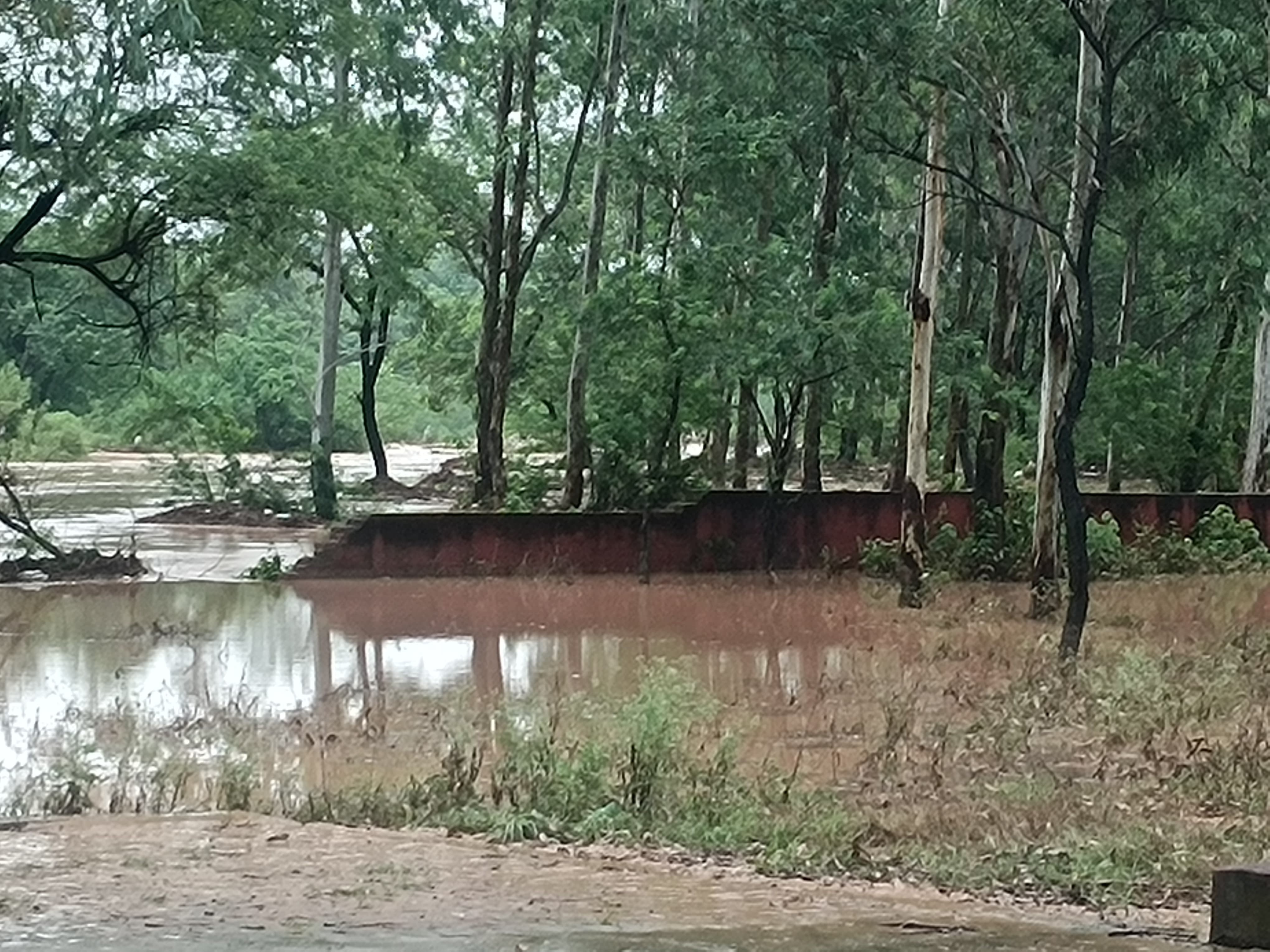 Panchkula-heavy-rain-destruction-Khatauli bridge-collapsed-update