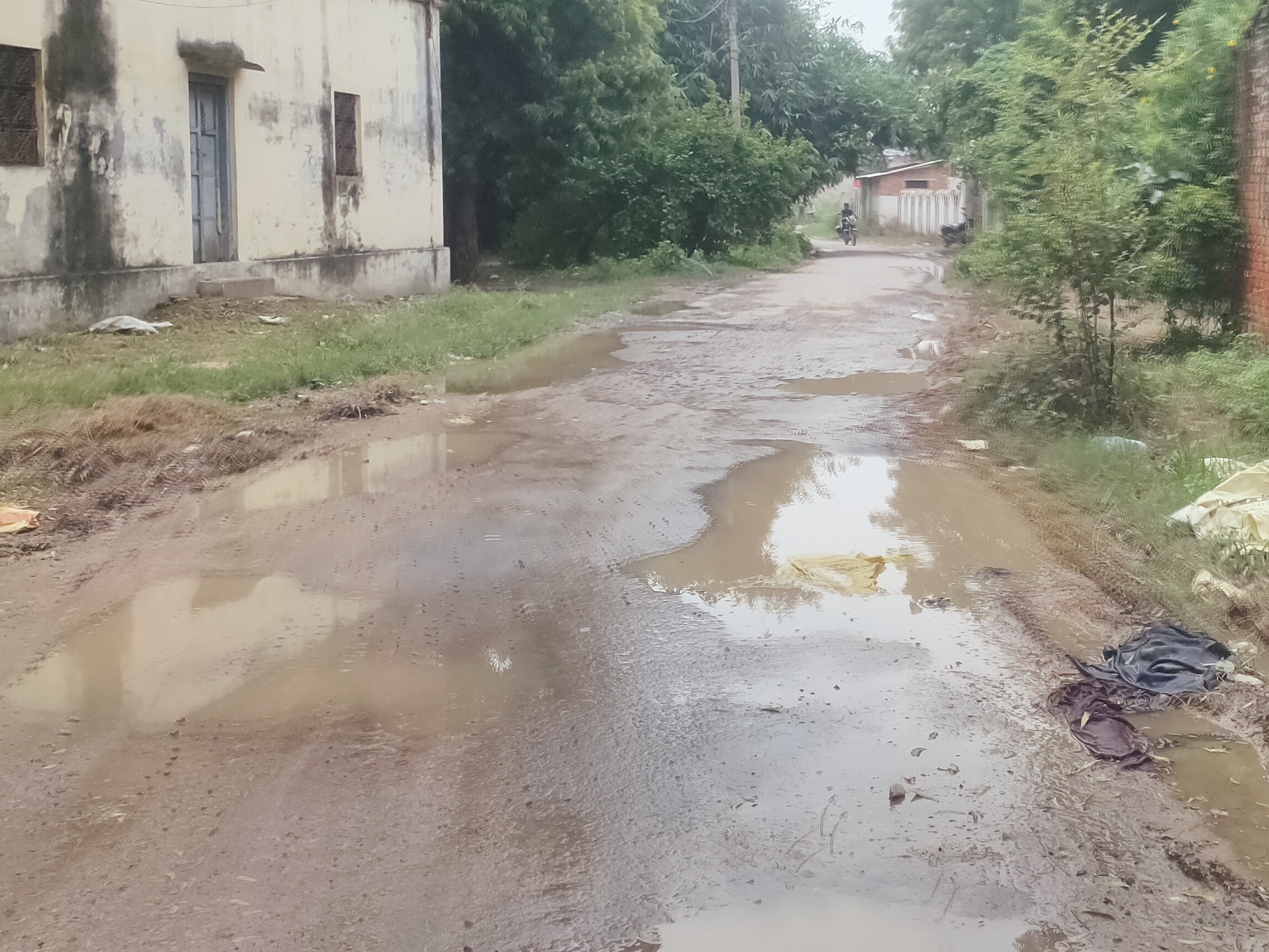 Traffic of school children affected, water filled in pits poses danger ...