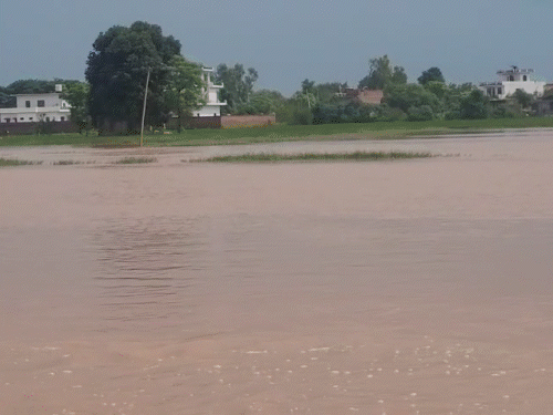 Haryana Rainfall Flood LIVE Photos Update; Markanda Overflow ...