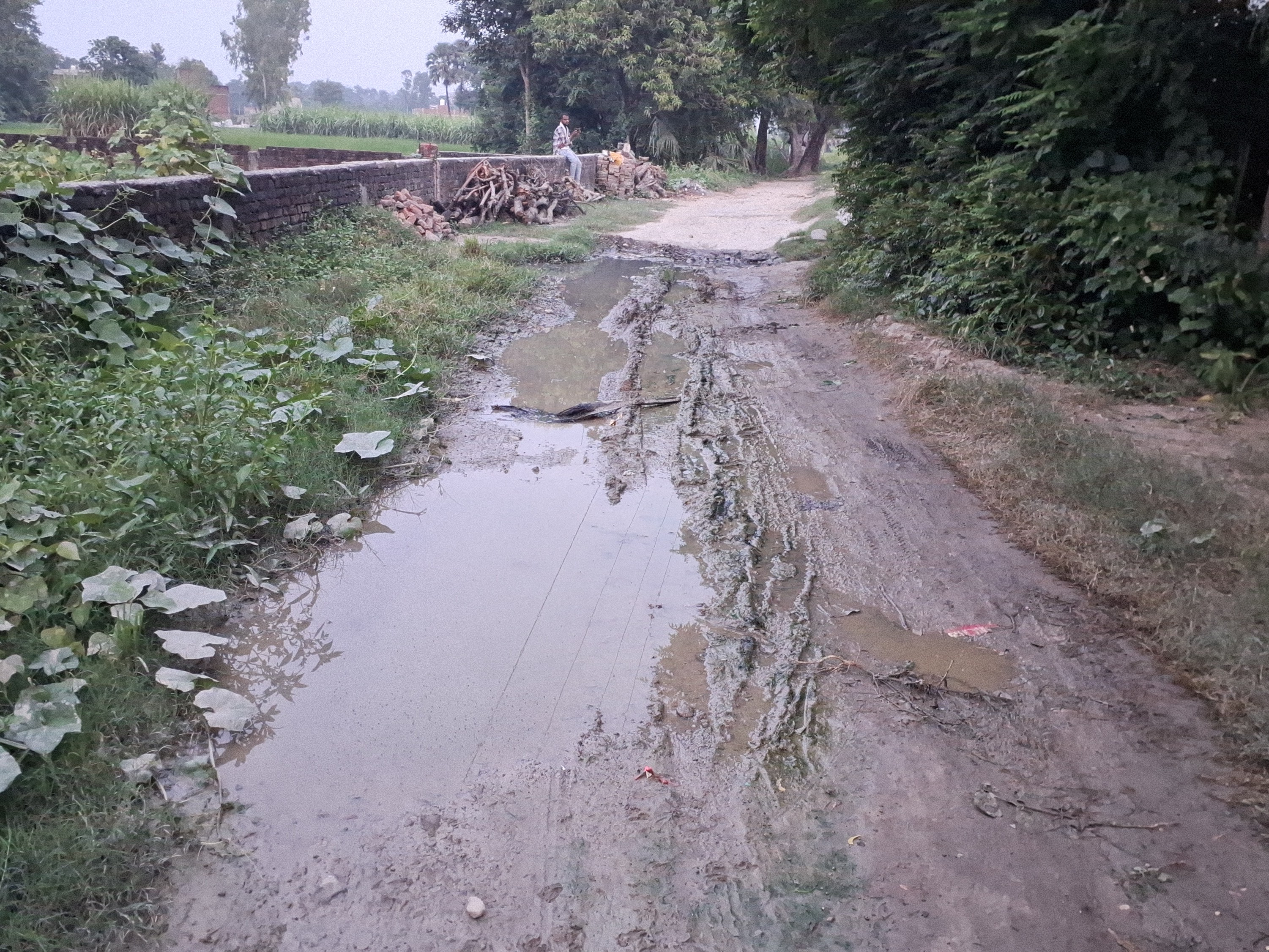 The condition of the road in Tendua village of Siar is bad | सीयर के ...
