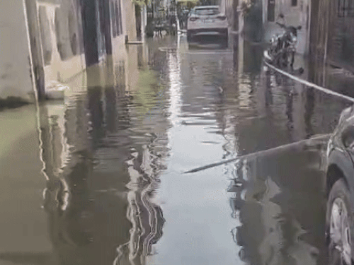 bahadurgarh mungeshpur drain water leve rise | बहादुरगढ़ में मुंगेशपुर ...