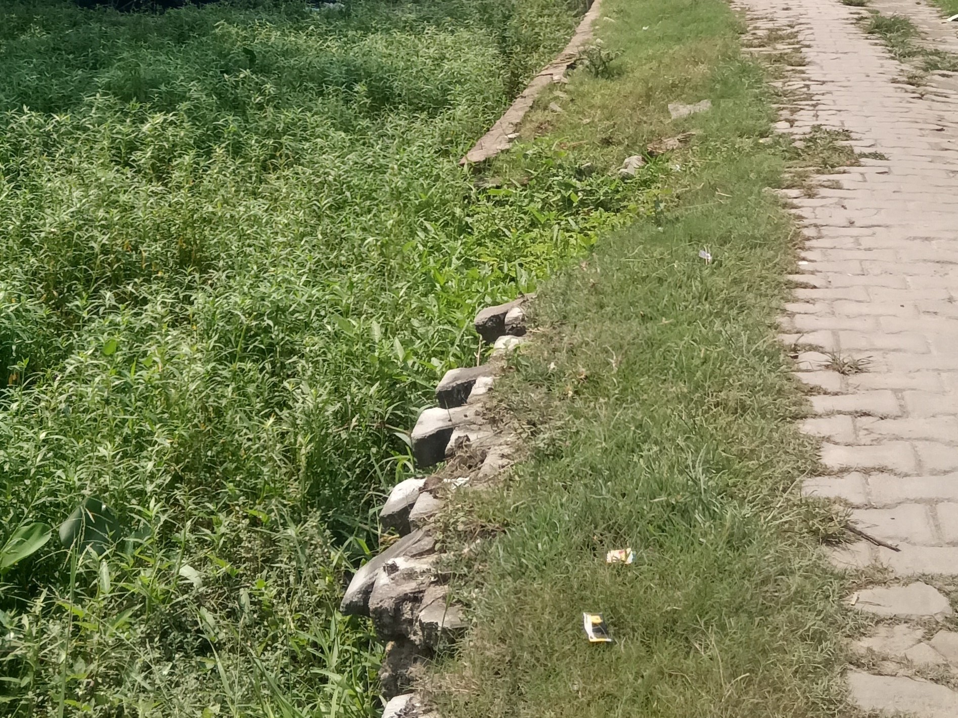 15 year old road in Hridaypur Dalit colony is dilapidated
