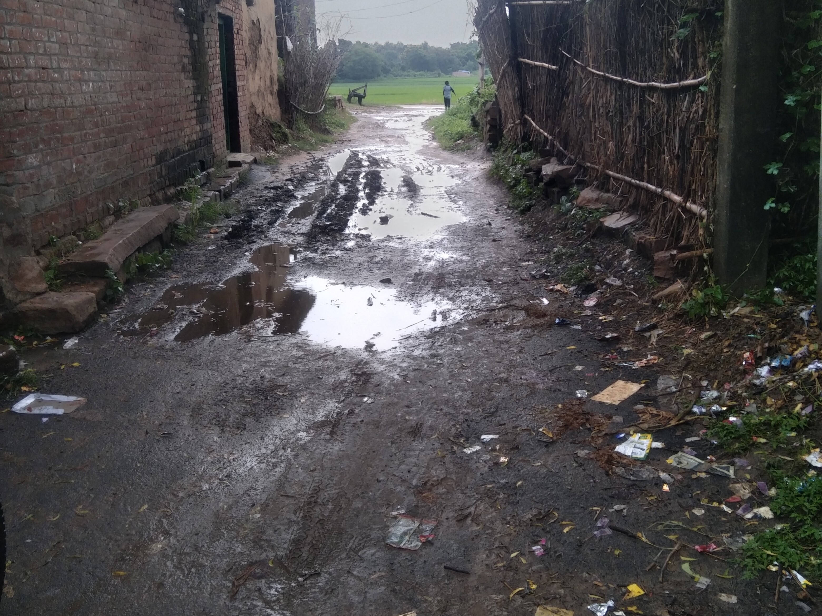 There is a pile of garbage on the roads in Prabhunarayanpur of Chakia ...
