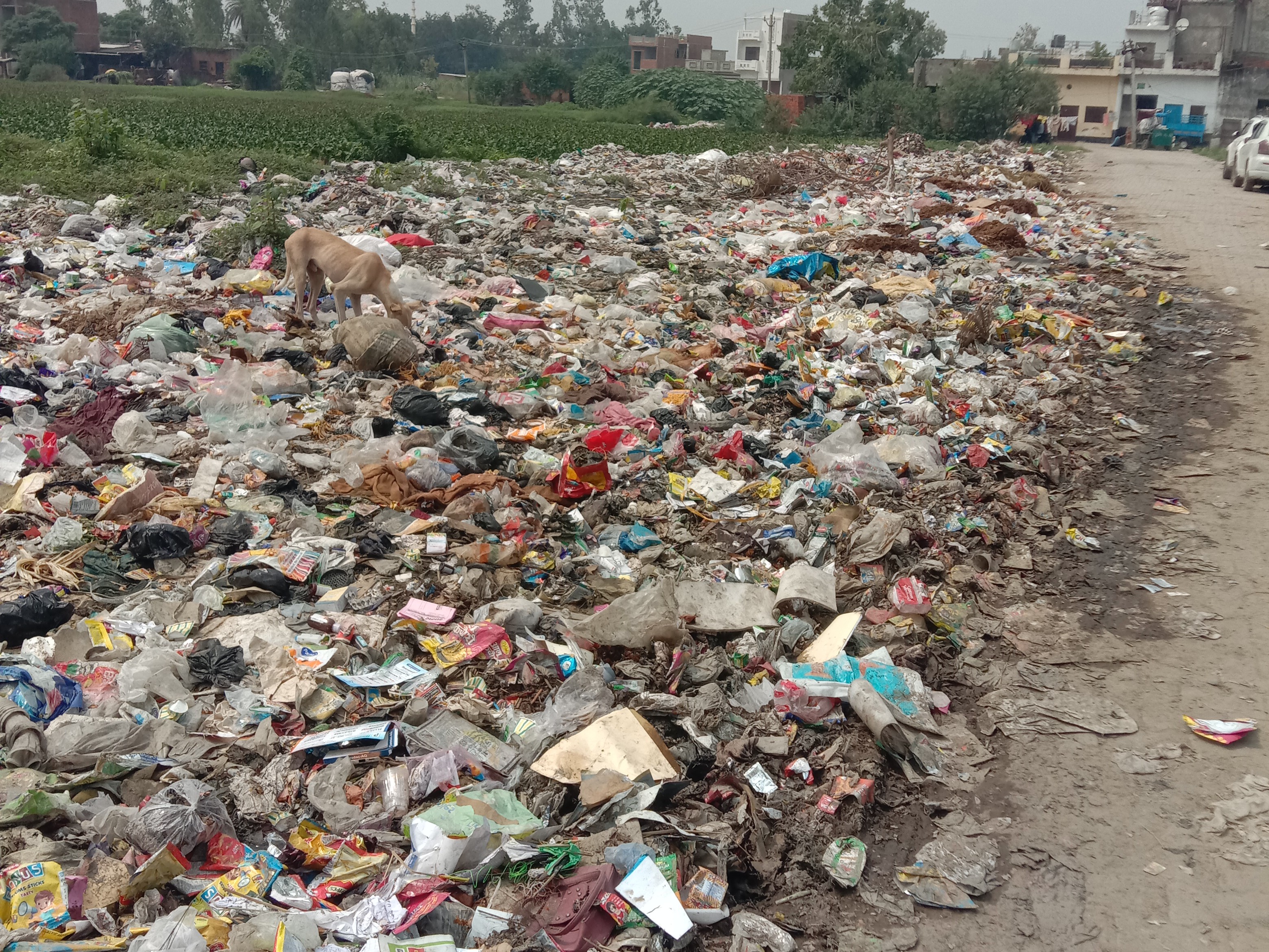 Piles of garbage in Incholi Gram Panchayat