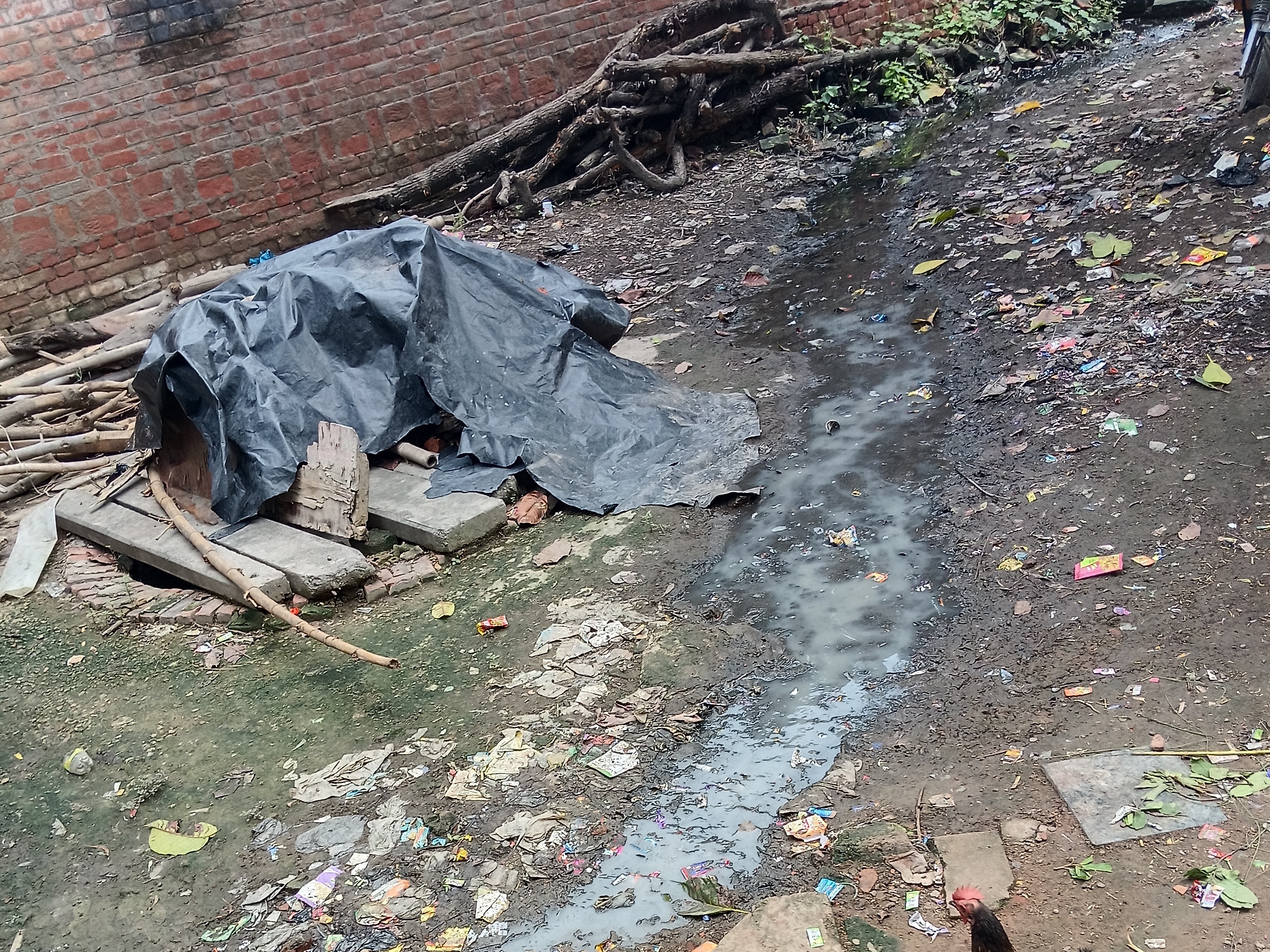 Drains in Paigambar Nagar haven't been cleaned for months. | पैगम्बर ...