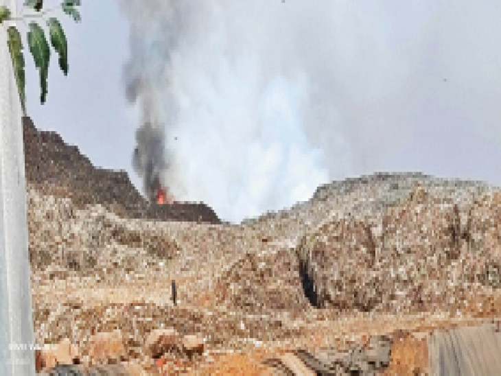 Neither qualifications nor expertise were considered in the tender… a ...