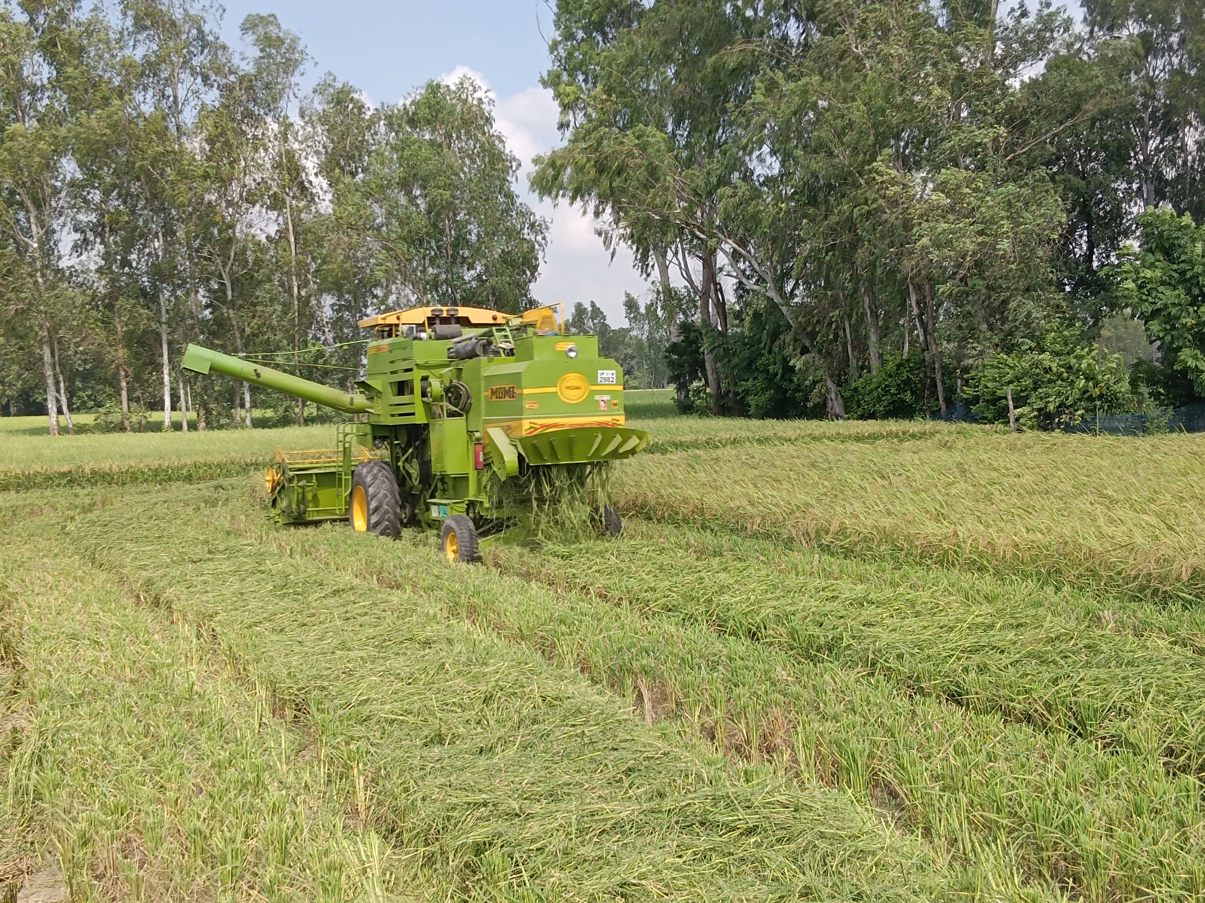 Harvesting of early paddy crop begins in Dewa