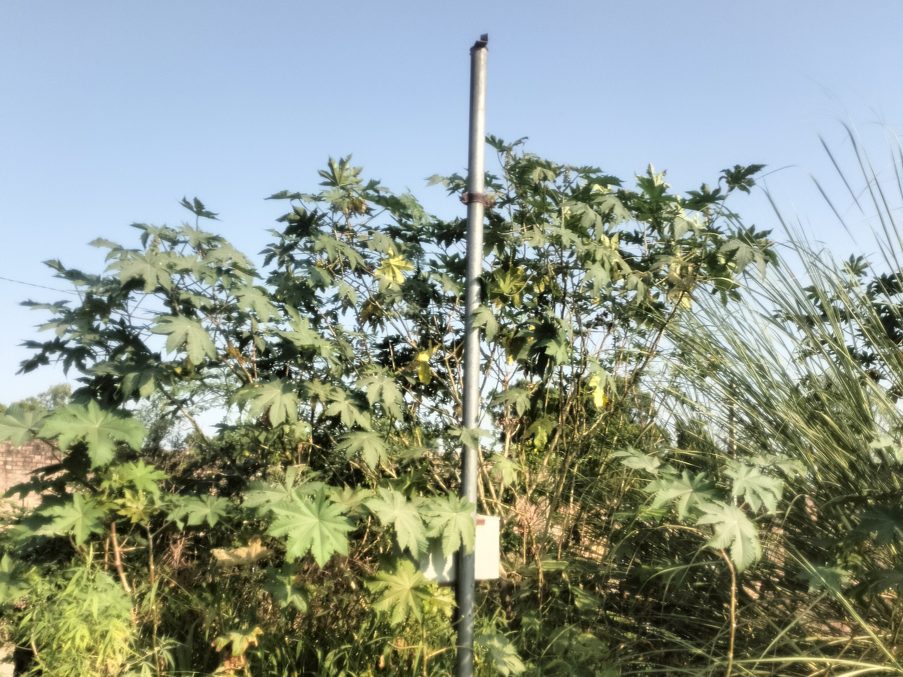 Battery plate missing from solar light in Mayasur, Kasganj | कासगंज के ...