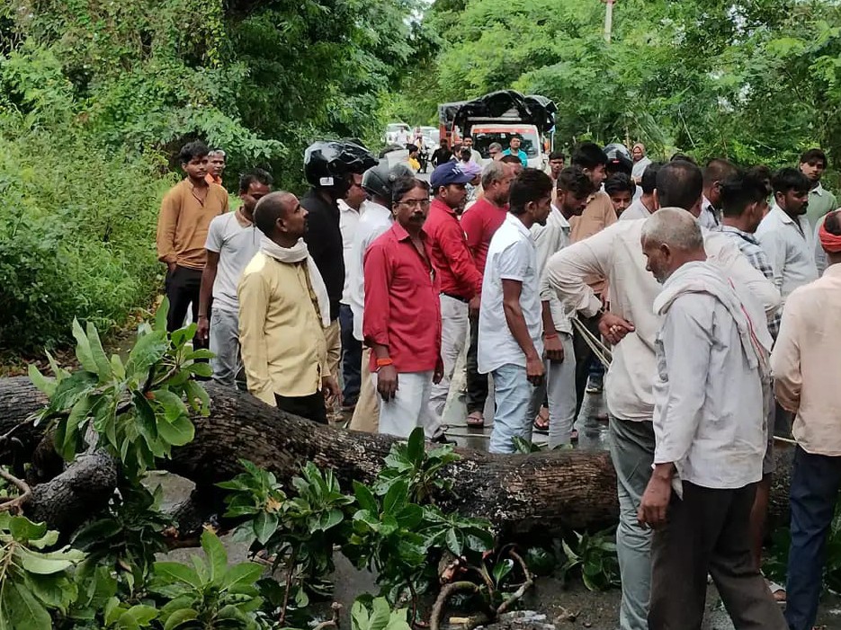 A huge peepal tree fell on the Mahadeva-Sikriganj road. | महादेवा ...