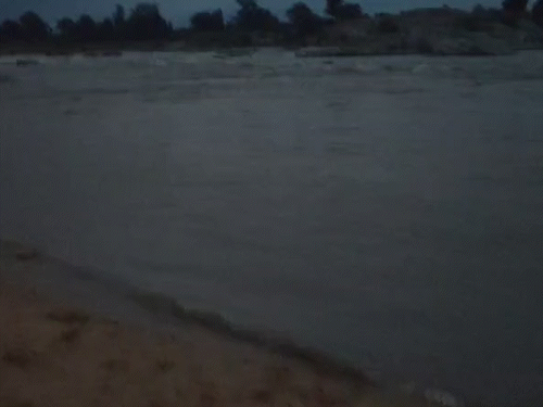 5 people drowned in Hasdeo river...2 rescued, 3 missing | हसदेव नदी में ...