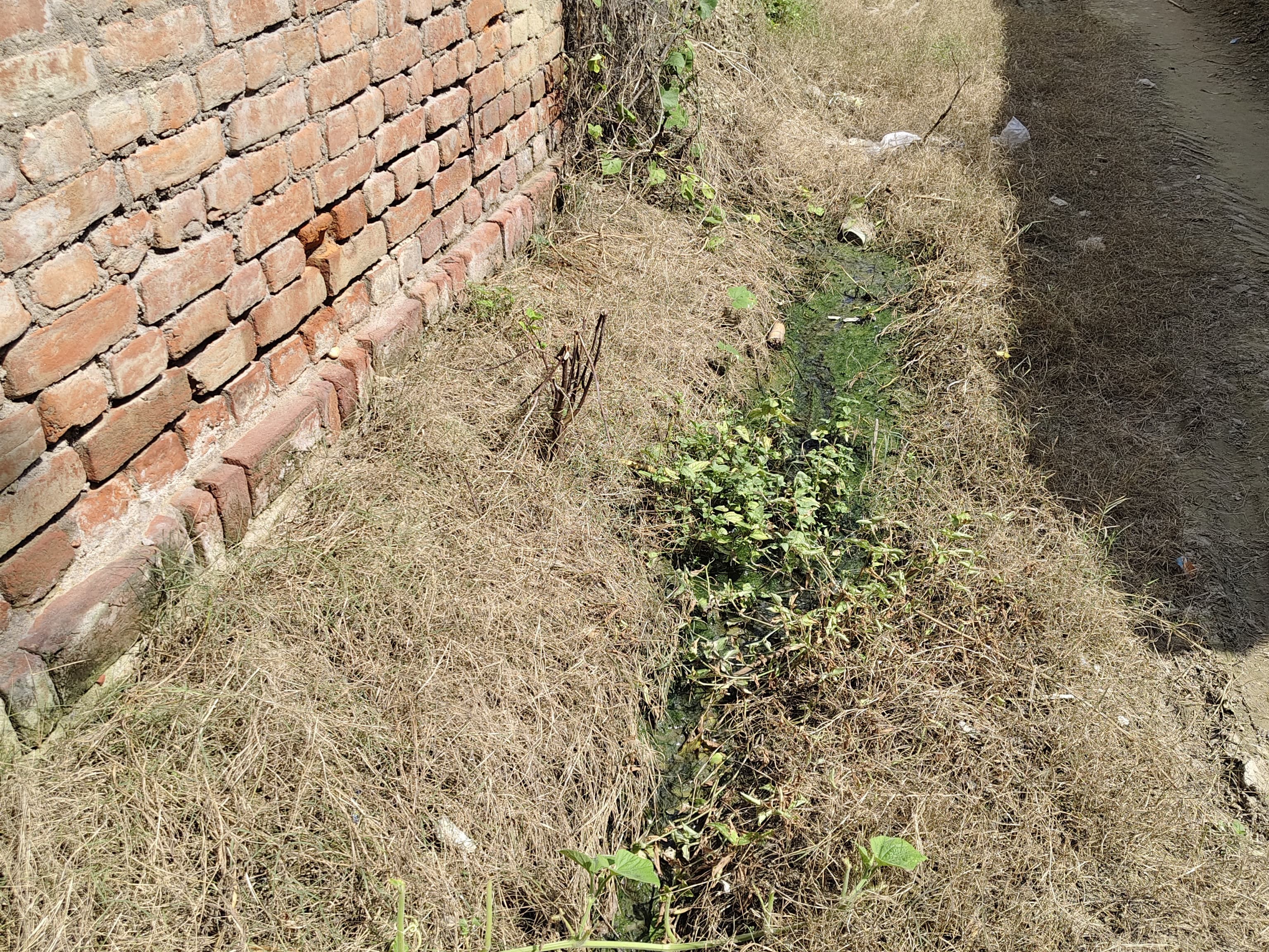 Lack of basic amenities in Johan Shravanpur village | जोहन श्रवणपुर ...