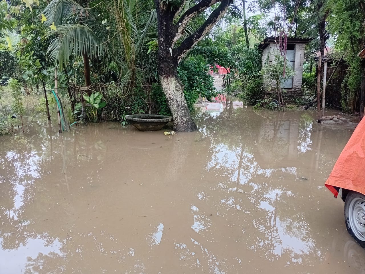 Heavy rain in Pratapganj caused water to enter homes | प्रतापगंज में ...