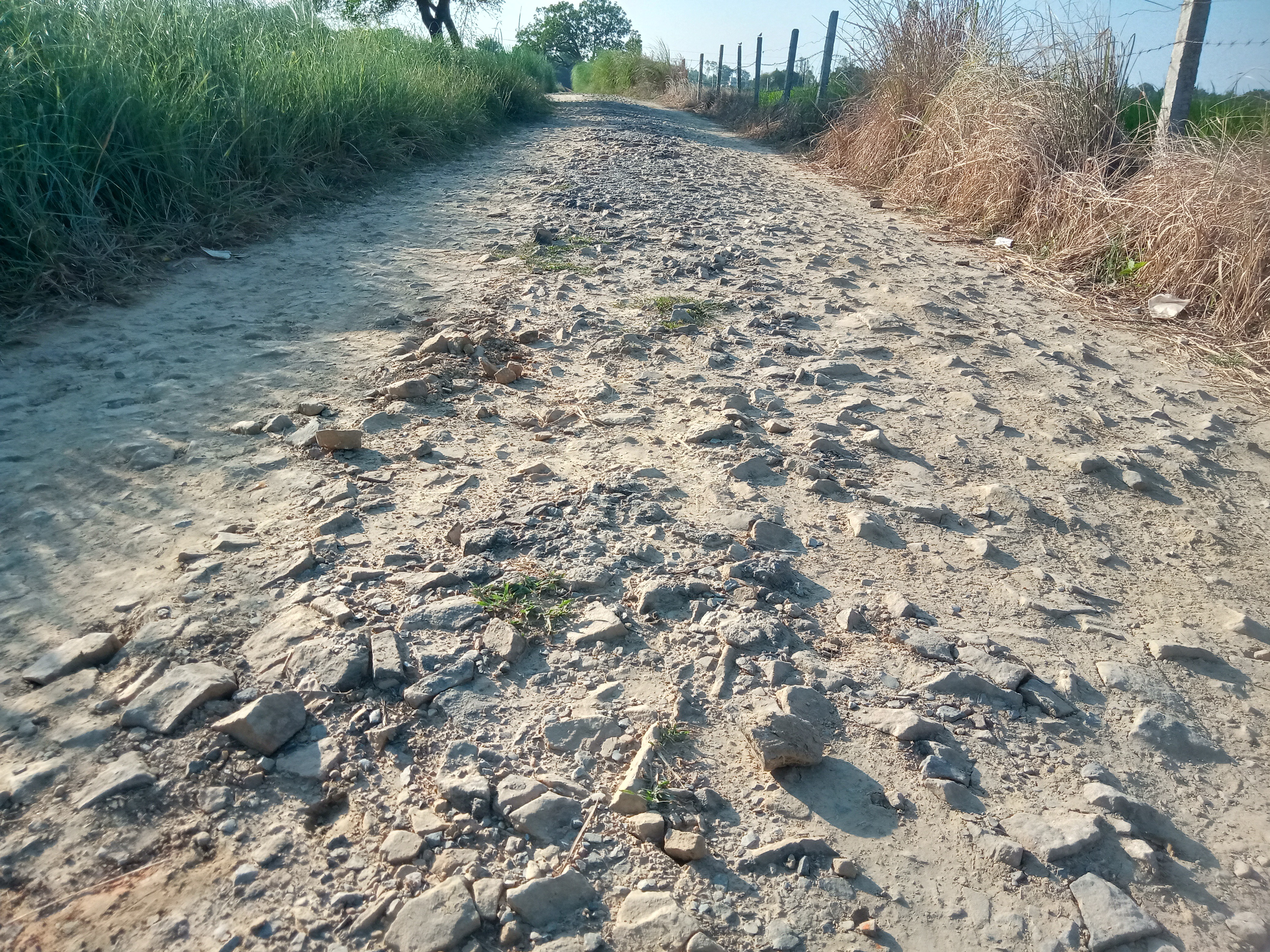 Road in Dadwa village in Pratapgarh is dilapidated | प्रतापगढ़ में ...