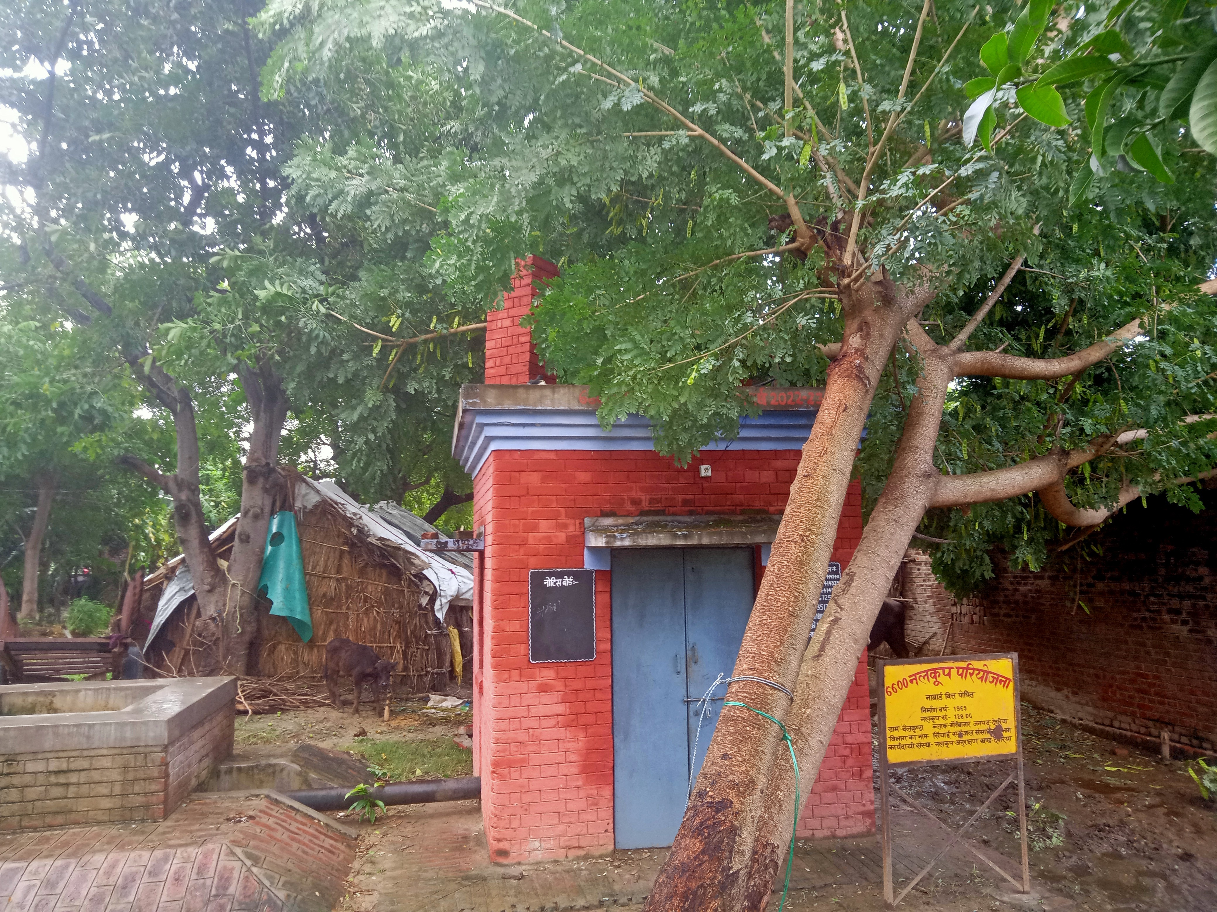 A tree fell on a government tube well in Rudrapur. | रुद्रपुर में ...