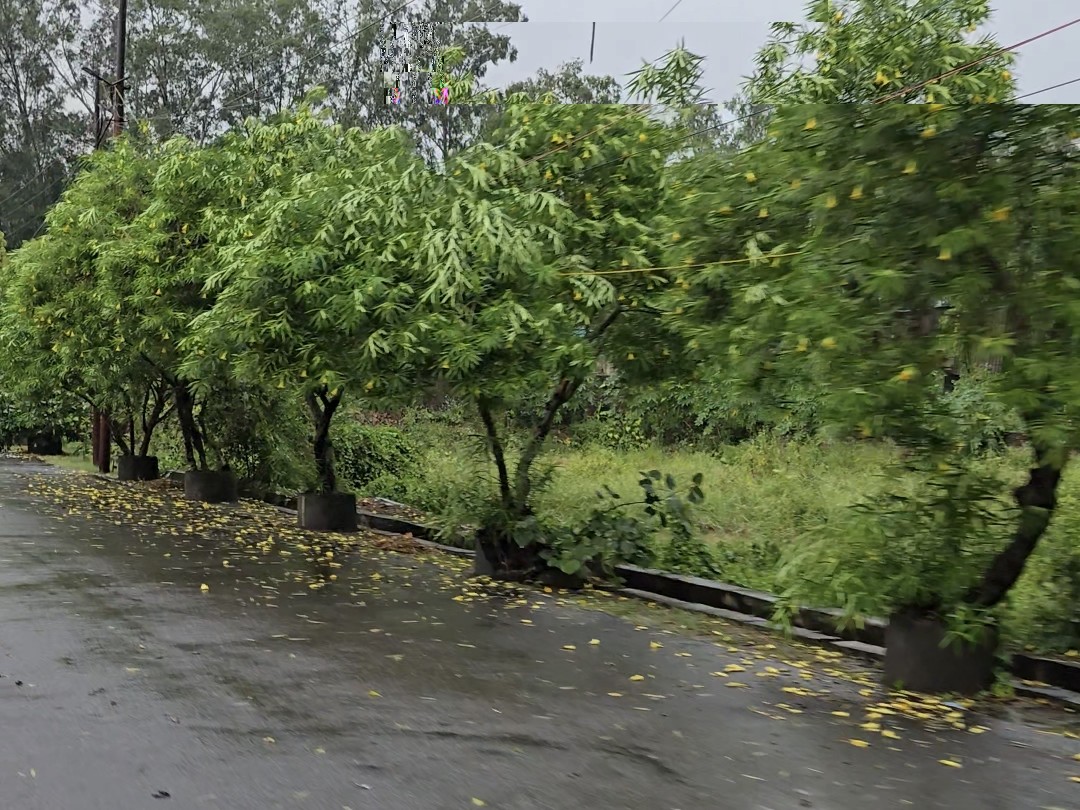 Heavy rain in Bijnor, temperature drops | बिजनौर में तेज बारिश, तापमान ...
