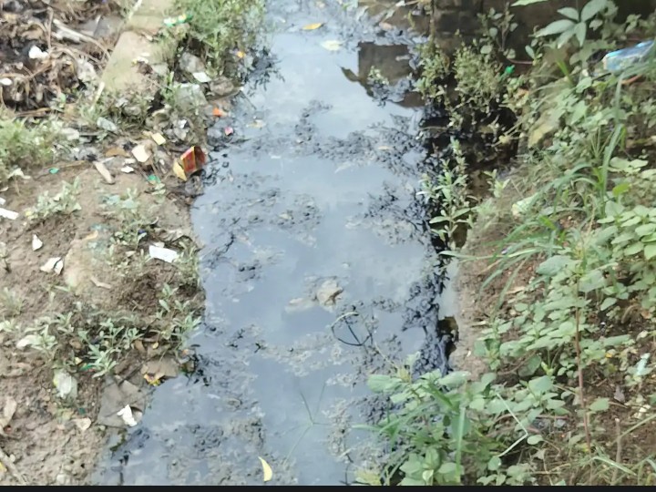 Drains are not cleaned in Paigambar Nagar | पैगम्बर नगर में नालियों की ...
