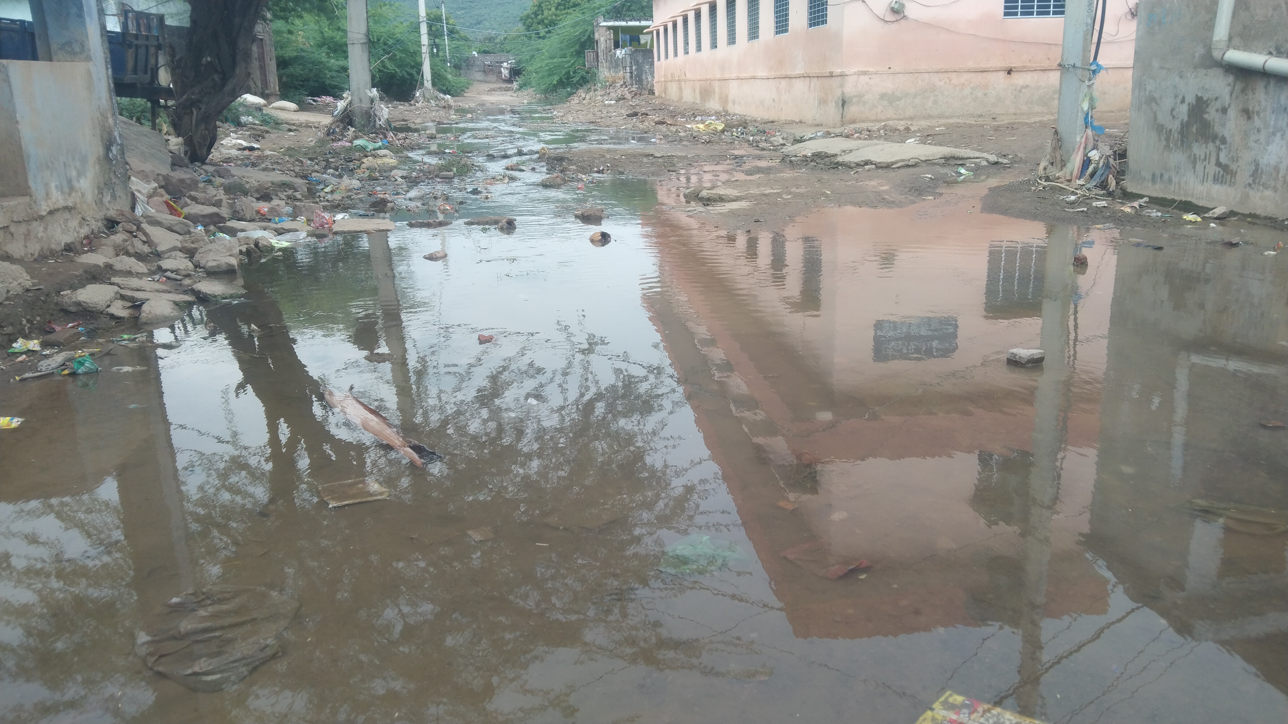 Latest Rajgarh (Sadulpur) News (राजगढ़ (सादुलपुर) न्यूज़): पढ़ें 10 ...