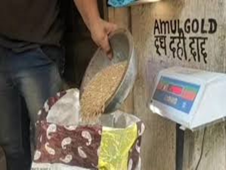 faridabad ration depot holder embezzlement case | Haryana News