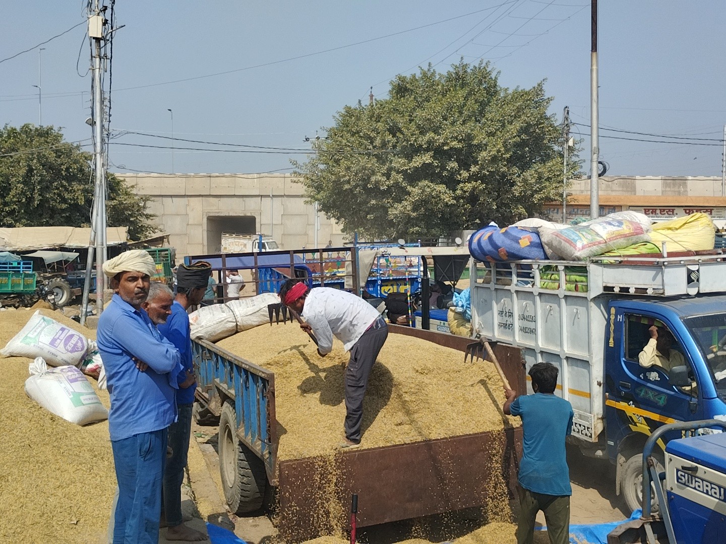 There is no space to unload paddy in Mathura's Raya Mandi
