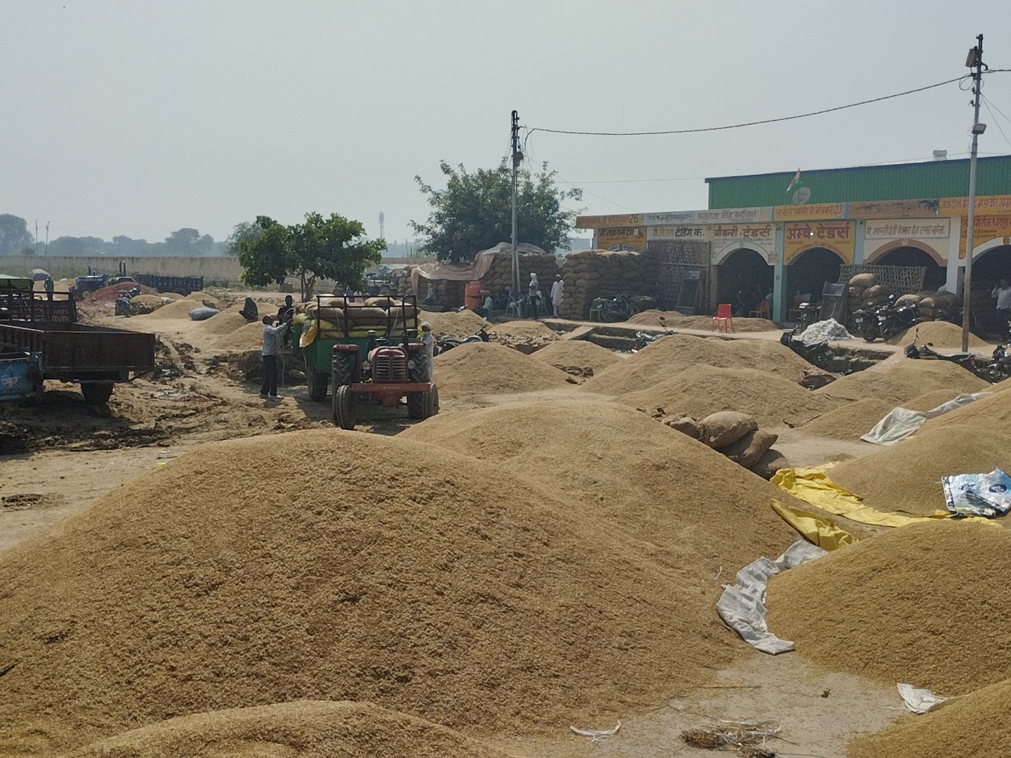 Raya Mandi in Mathura closed for two days for farmers | मथुरा में राया ...