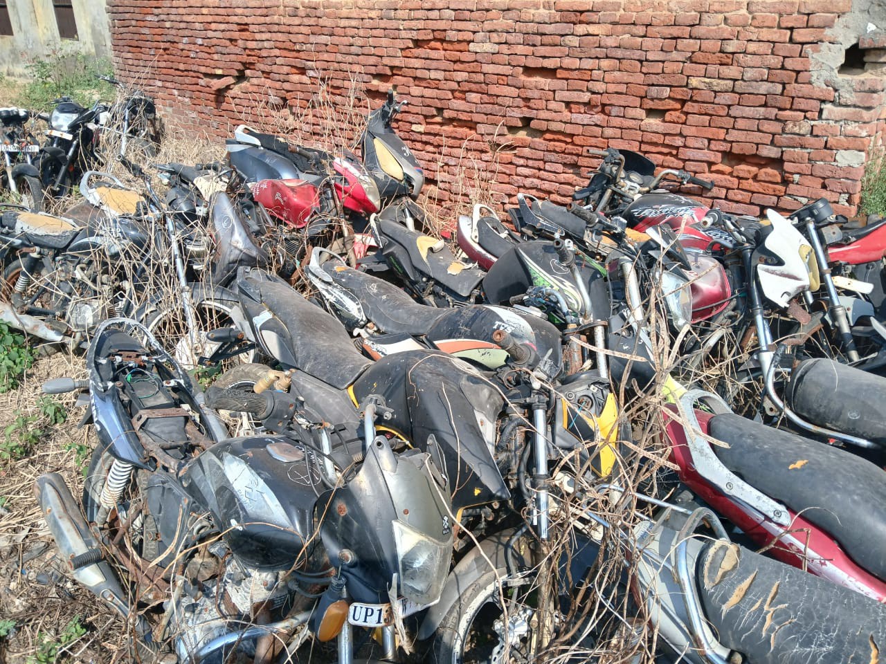 309 vehicles auctioned for a sum of Rs 29 lakh.