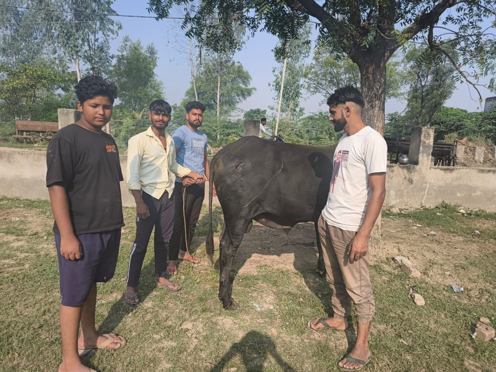 The case of Arua Nagla Mod of Achhnera in Agra