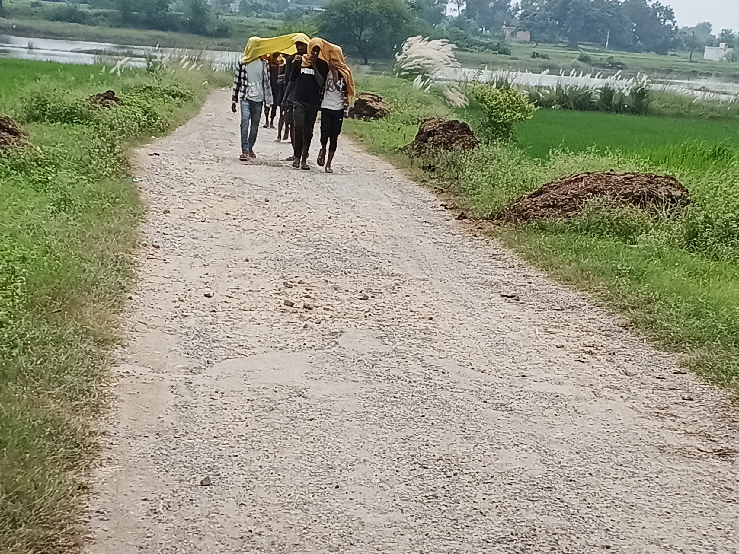 Bahora-Murlipur road in bad condition, passengers troubled | बहोरा ...