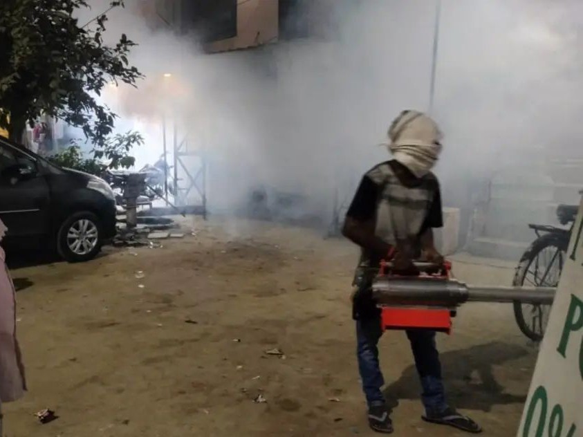 Mosquito infestation increased, municipality started fogging | मच्छरों ...