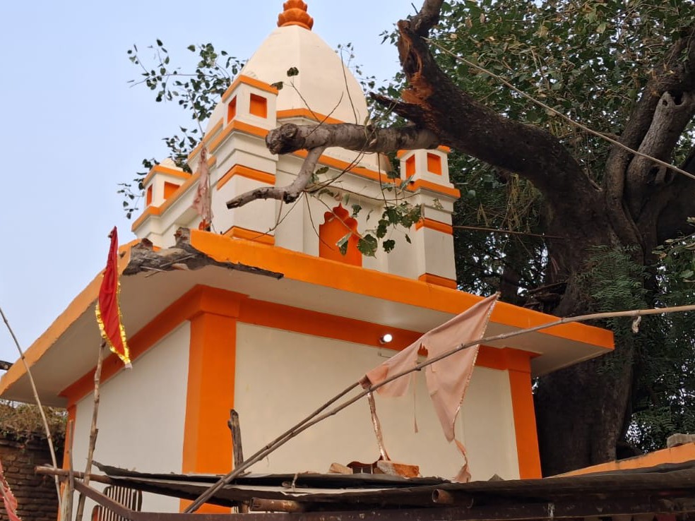 A 200-year-old peepal tree fell in Punawali Kala.
