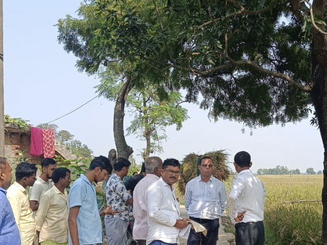 Paddy crop cutting in Belwa, production below average | बेलवा में धान ...