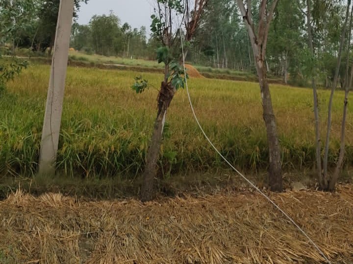 Villagers in Nilgaon are troubled by power cuts
