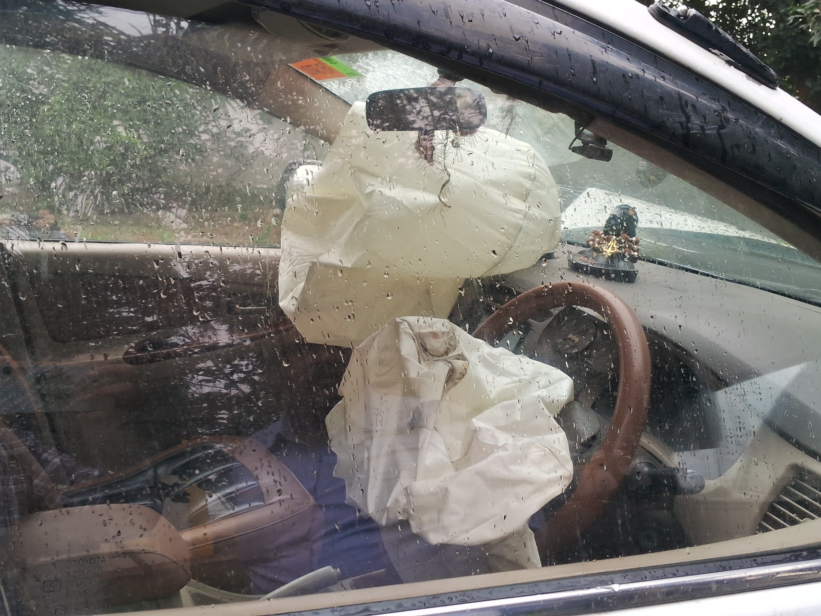 Innova car collides with Nilgai in Bilsi | बिल्सी में नीलगाय से टकराई ...