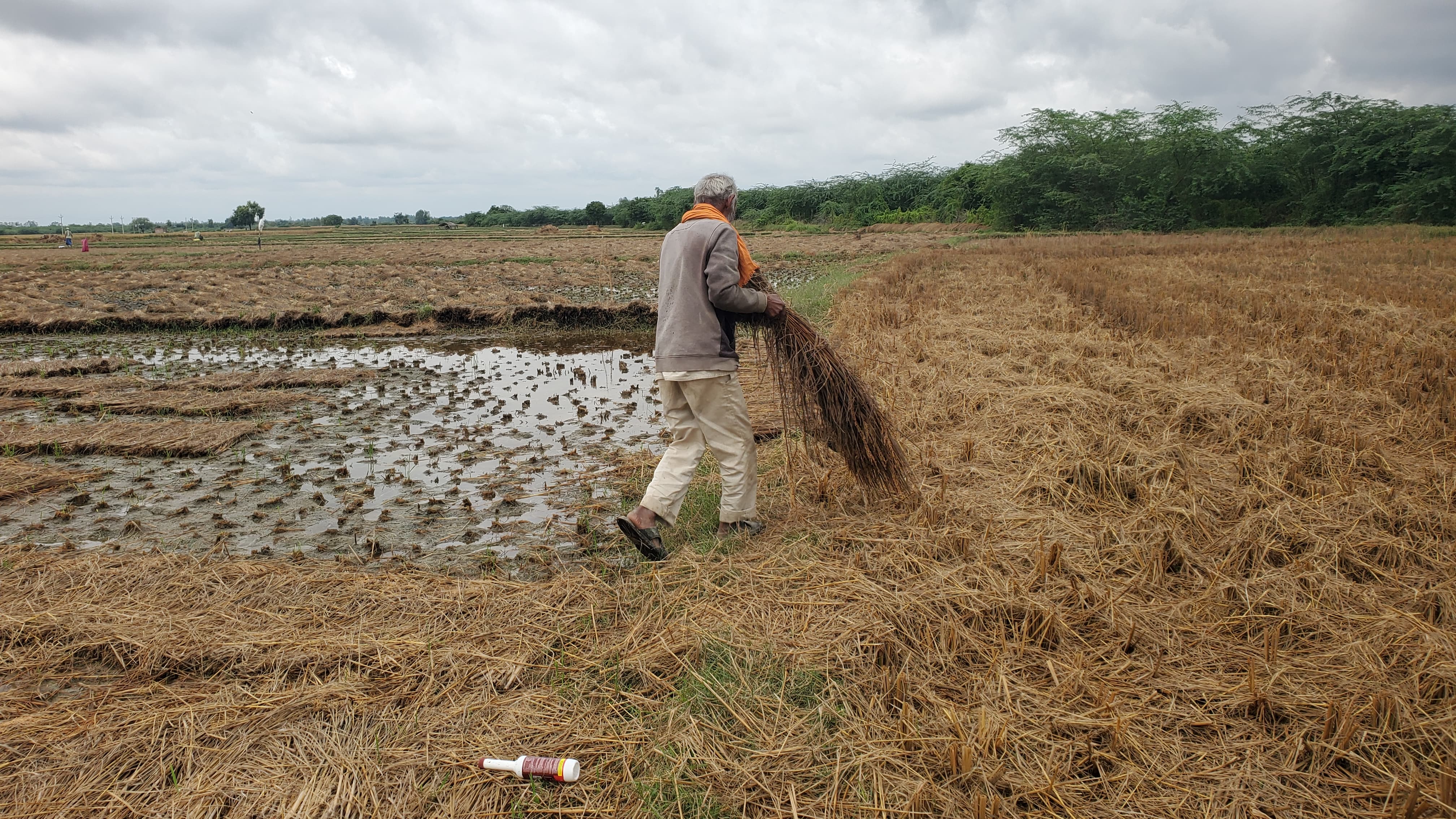 Farmer after seeing ruined crop says It's better to die Hundreds of ...