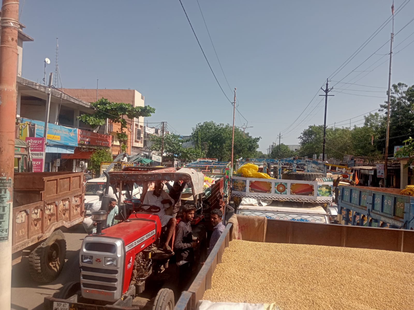 Heavy arrival of maize and soybean in Khirkiya Mandi | खिरकिया मंडी में ...