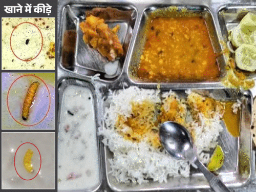 Lucknow - ITOT Centre - lucknow itot centre training update; Girls and ...