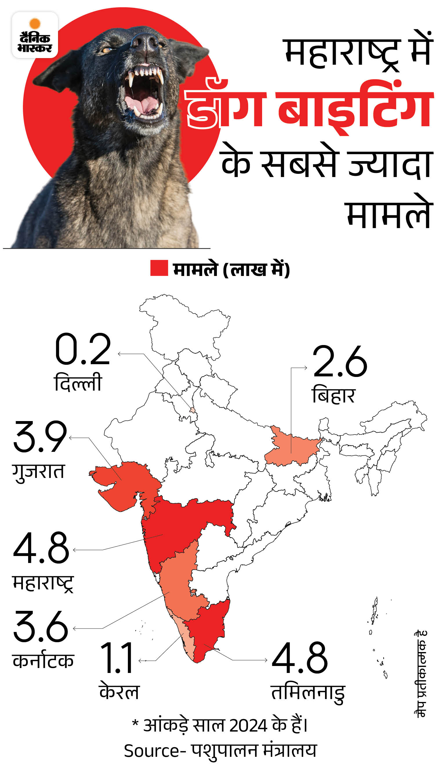 Stray Dog Case; Supreme Court Guideline Explained | Dog Bite Rabies Deaths