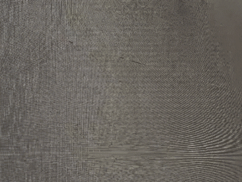 Vande Mataram is the basic mantra of freedom – Jaiveer Singh | वंदे ...