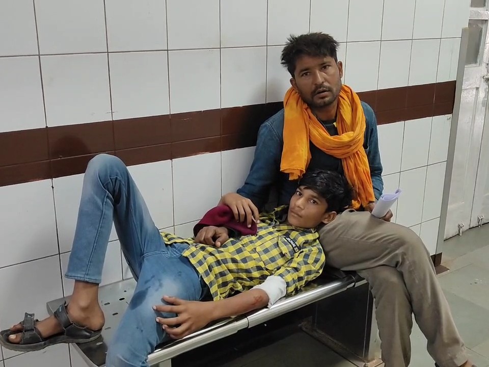 Mad dog terror in Shivpuri | शिवपुरी में पागल कुत्ते का आतंक: 15 लोगों को काटा, घायलों में कई ...