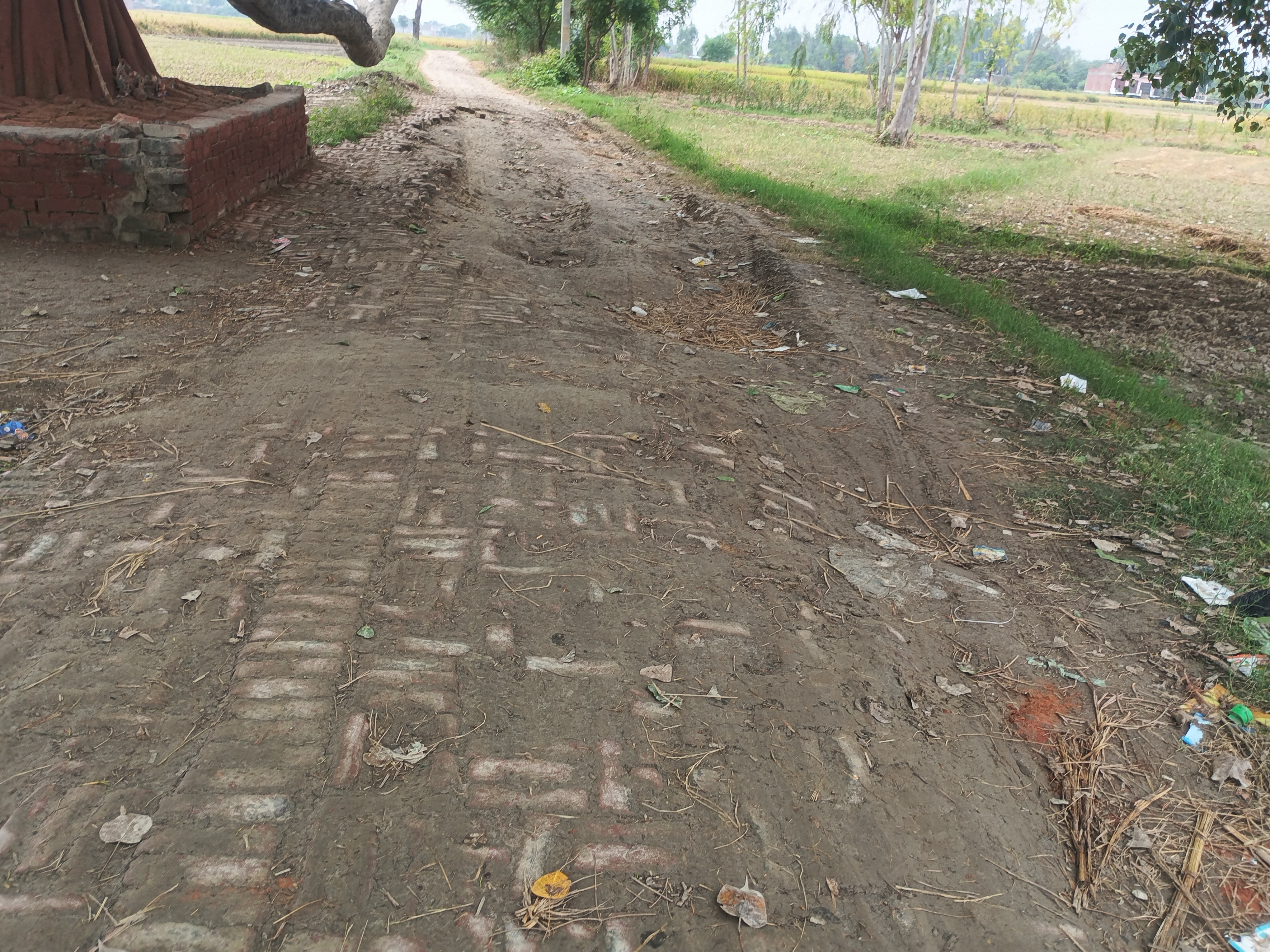 The Umaria-Jamd road in Unnao is in a dilapidated condition. | उन्नाव ...